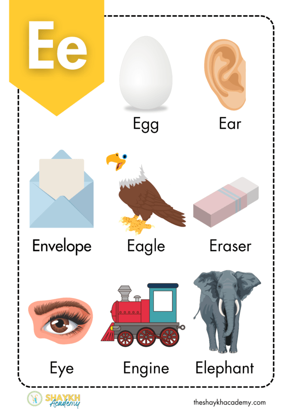Learn Alphabet Ee | Picture Dictionary from A to Z for Kids