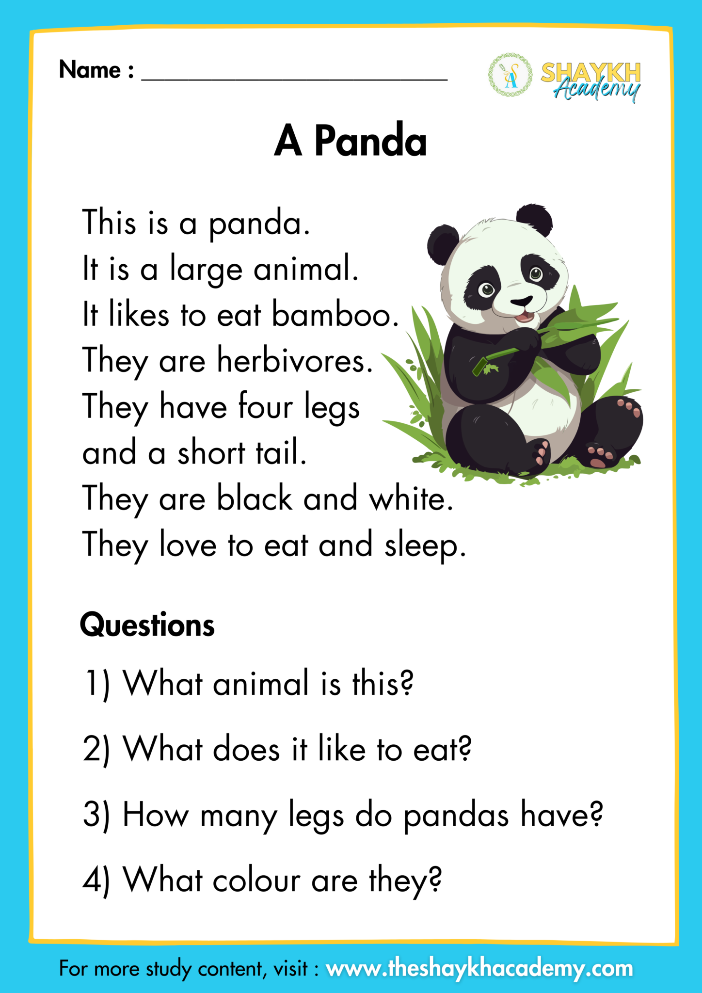 A Panda - Comprehension Passages - Comprehension Passages