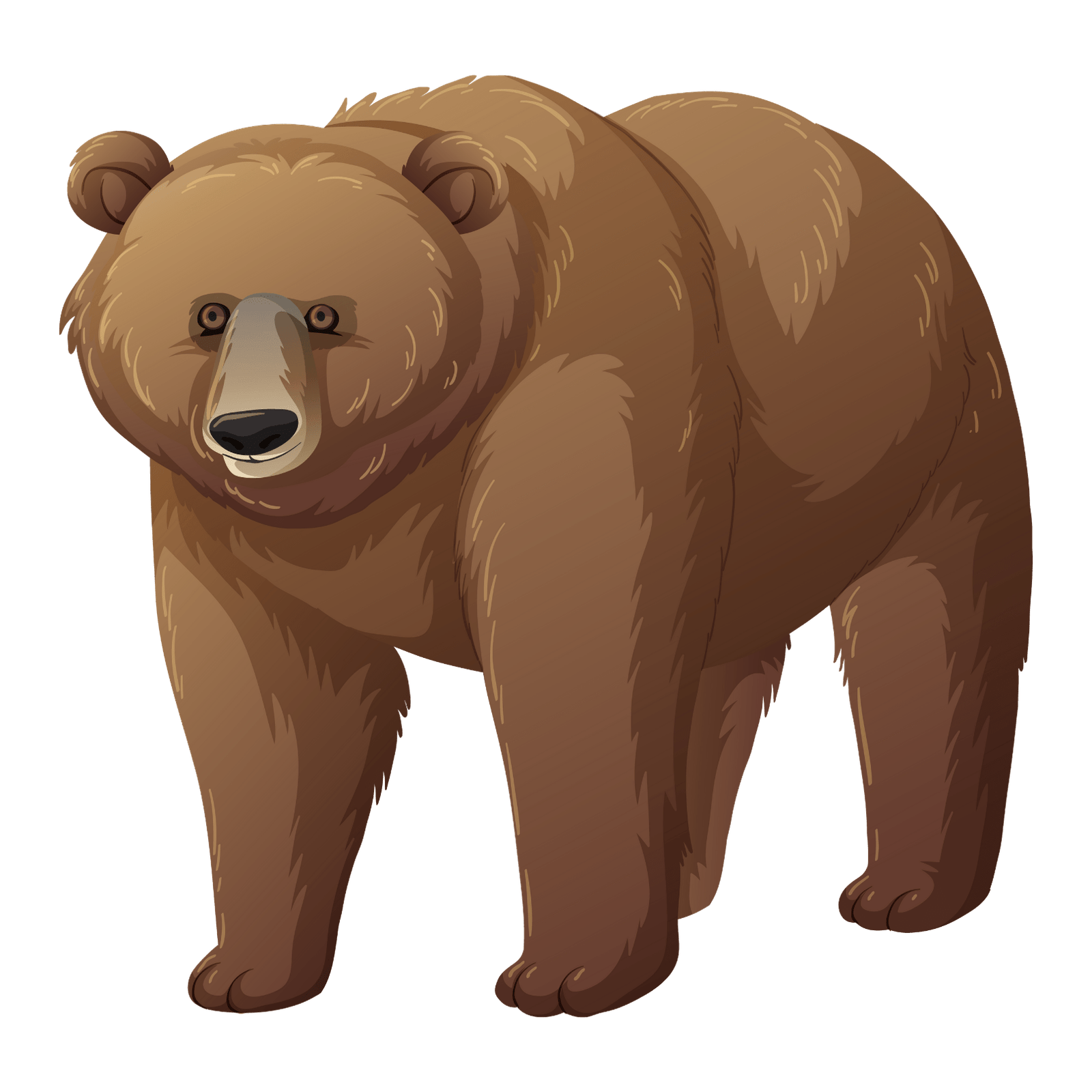 Bear - Beginner Level - Reading Passages