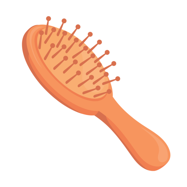 Hair Brush - Beginner Level - Reading Passages