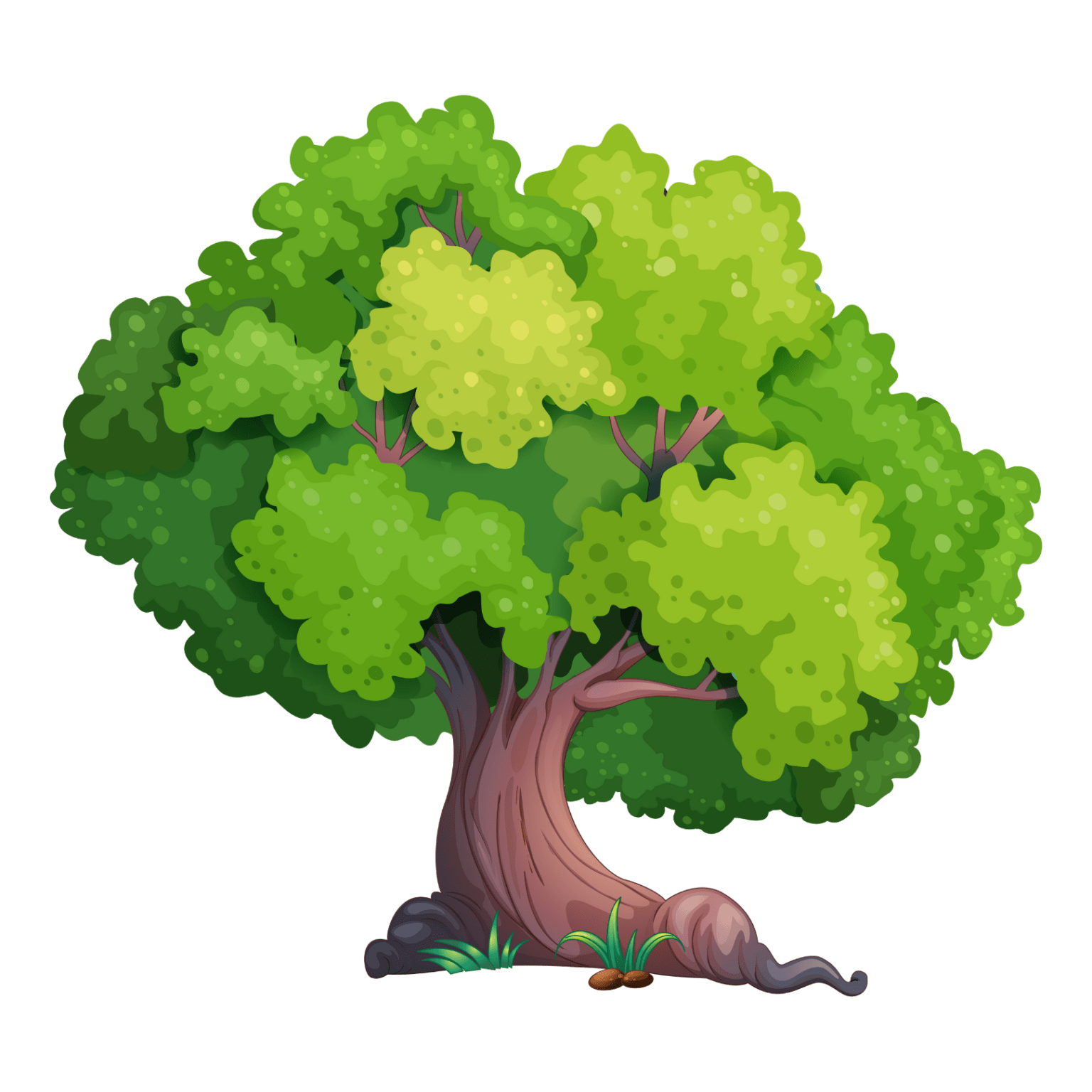 Trees - Beginner Level - Reading Passages