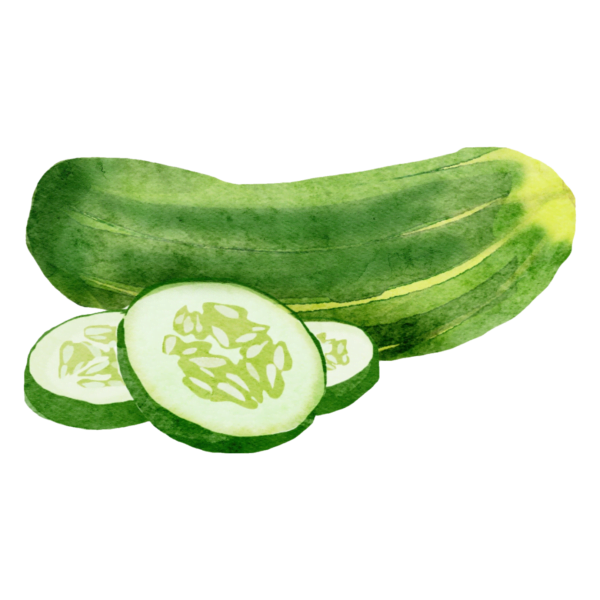 Cucumber - Beginner Level - Reading Passages