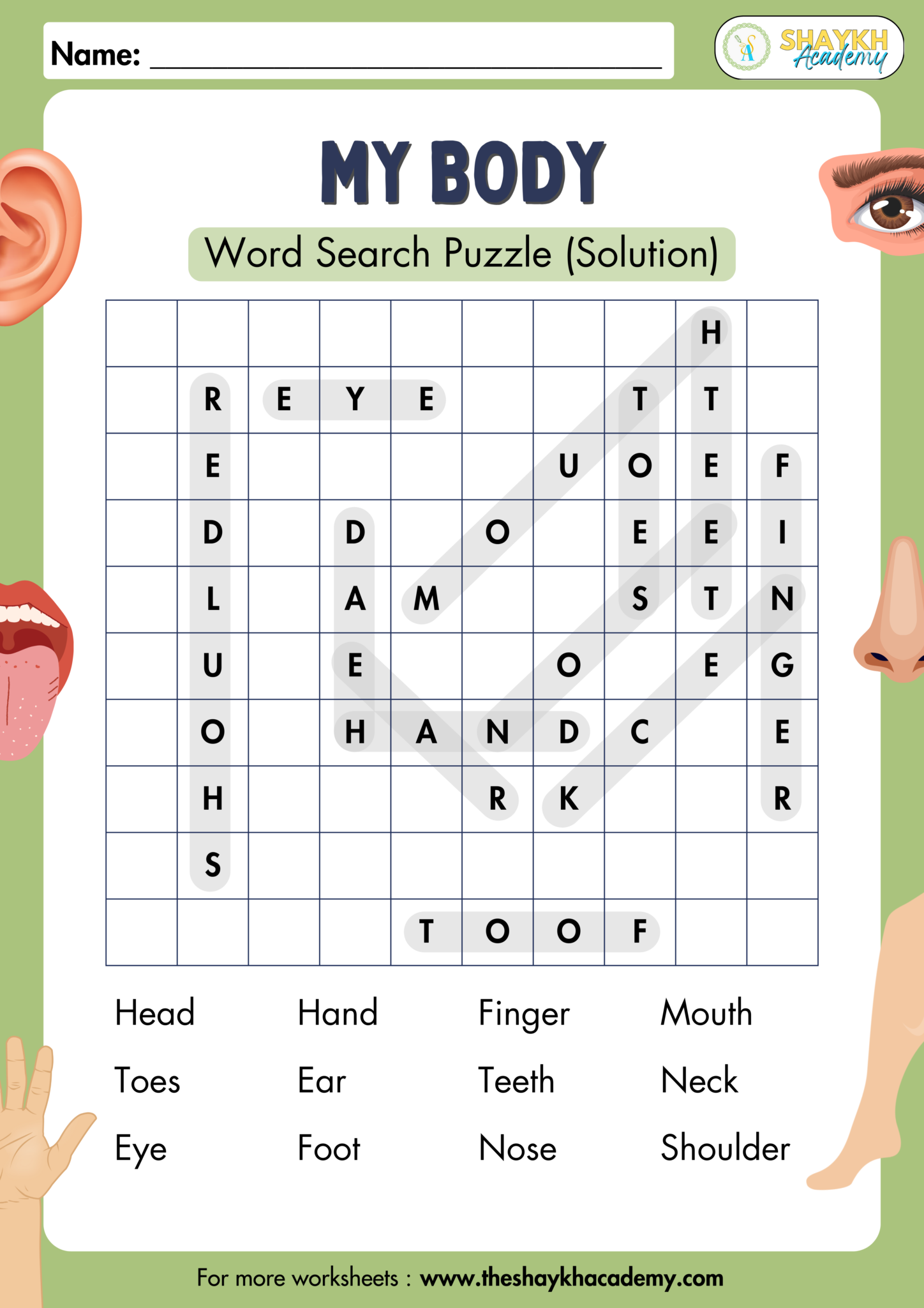 My Body - Easy Level Word Search Puzzles