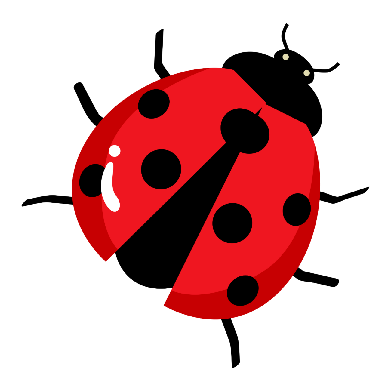 Ladybug - Beginner Level - Reading Passages