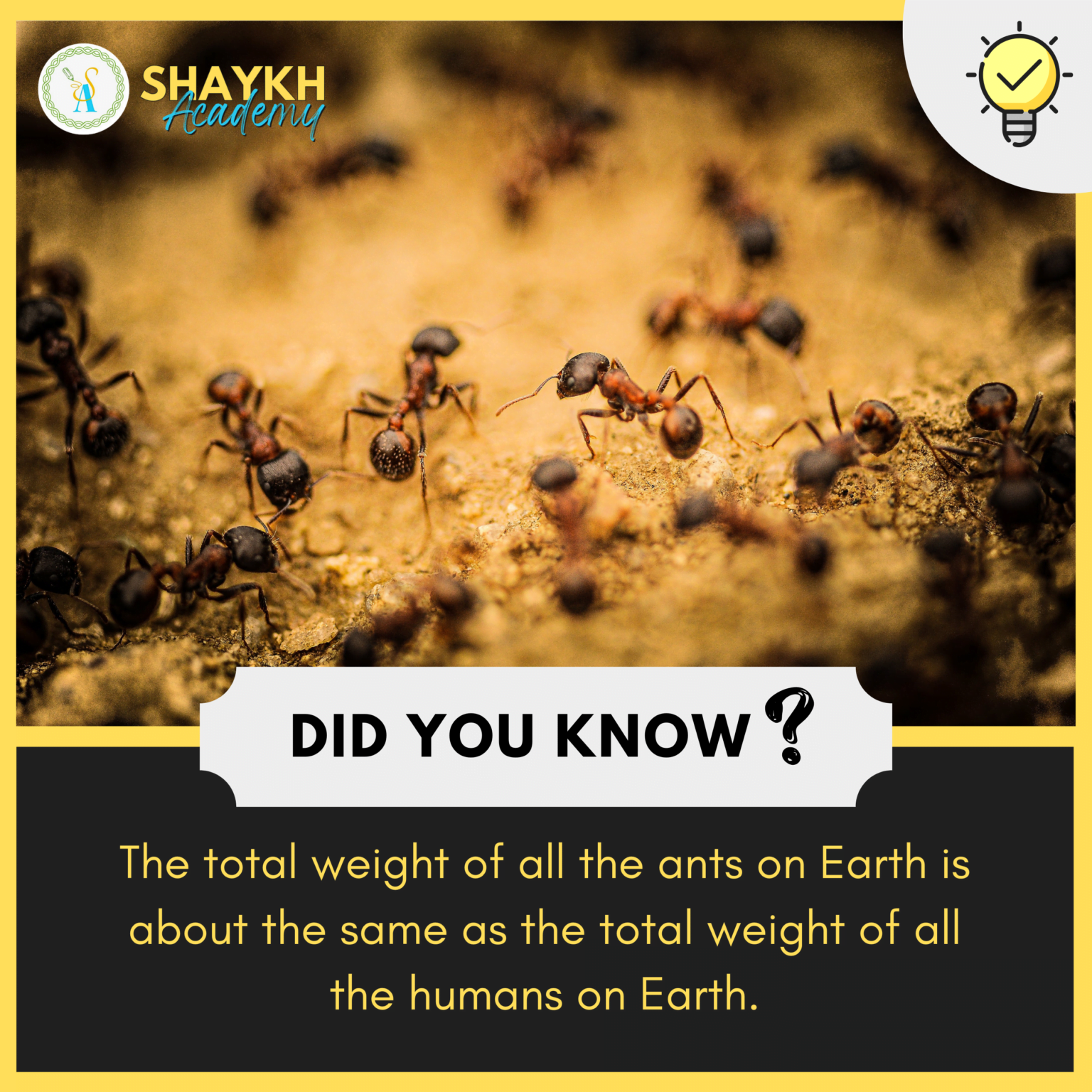 Did you Know? The total weight of all the ants on Earth is about the ...