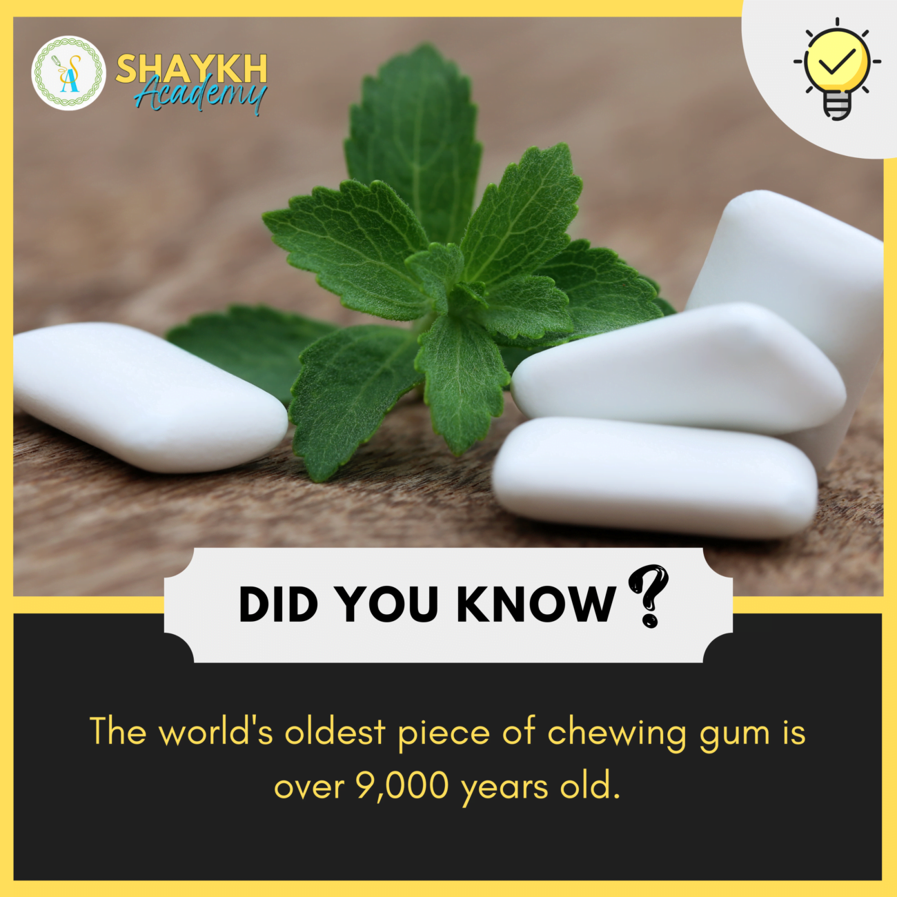Did you Know? The world's oldest piece of chewing gum is over 9,000 ...