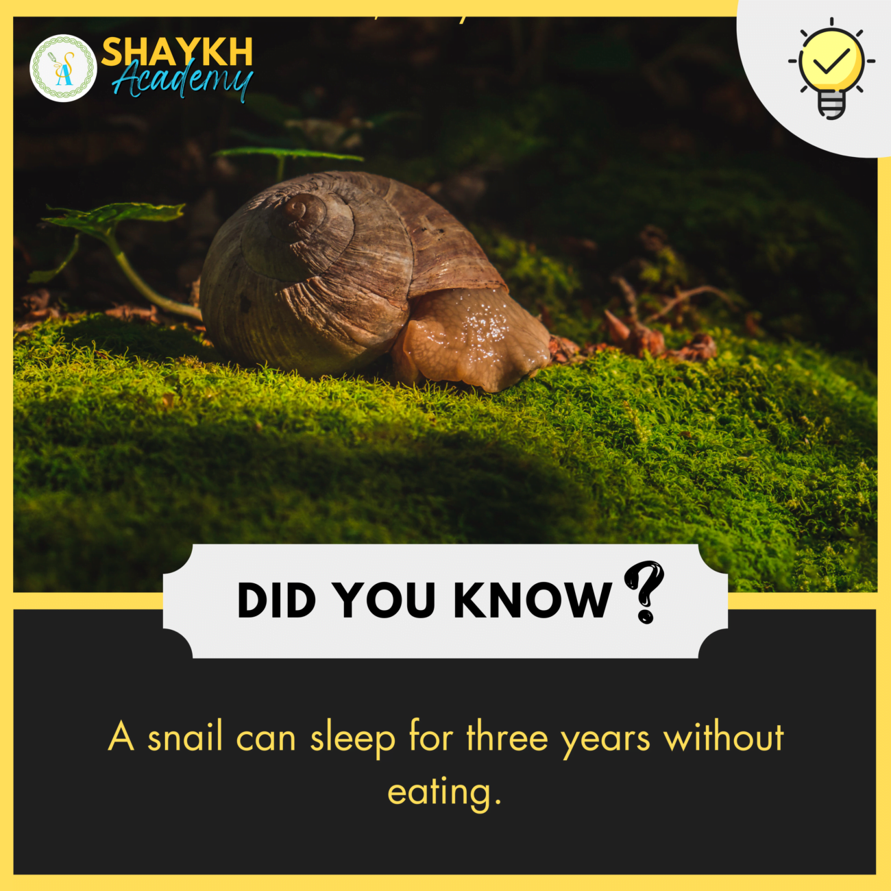 Did you Know? A snail can sleep for three years without eating