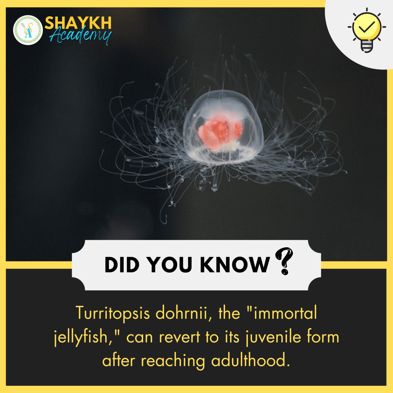 Did you Know? Turritopsis dohrnii, the "immortal jellyfish," can revert ...