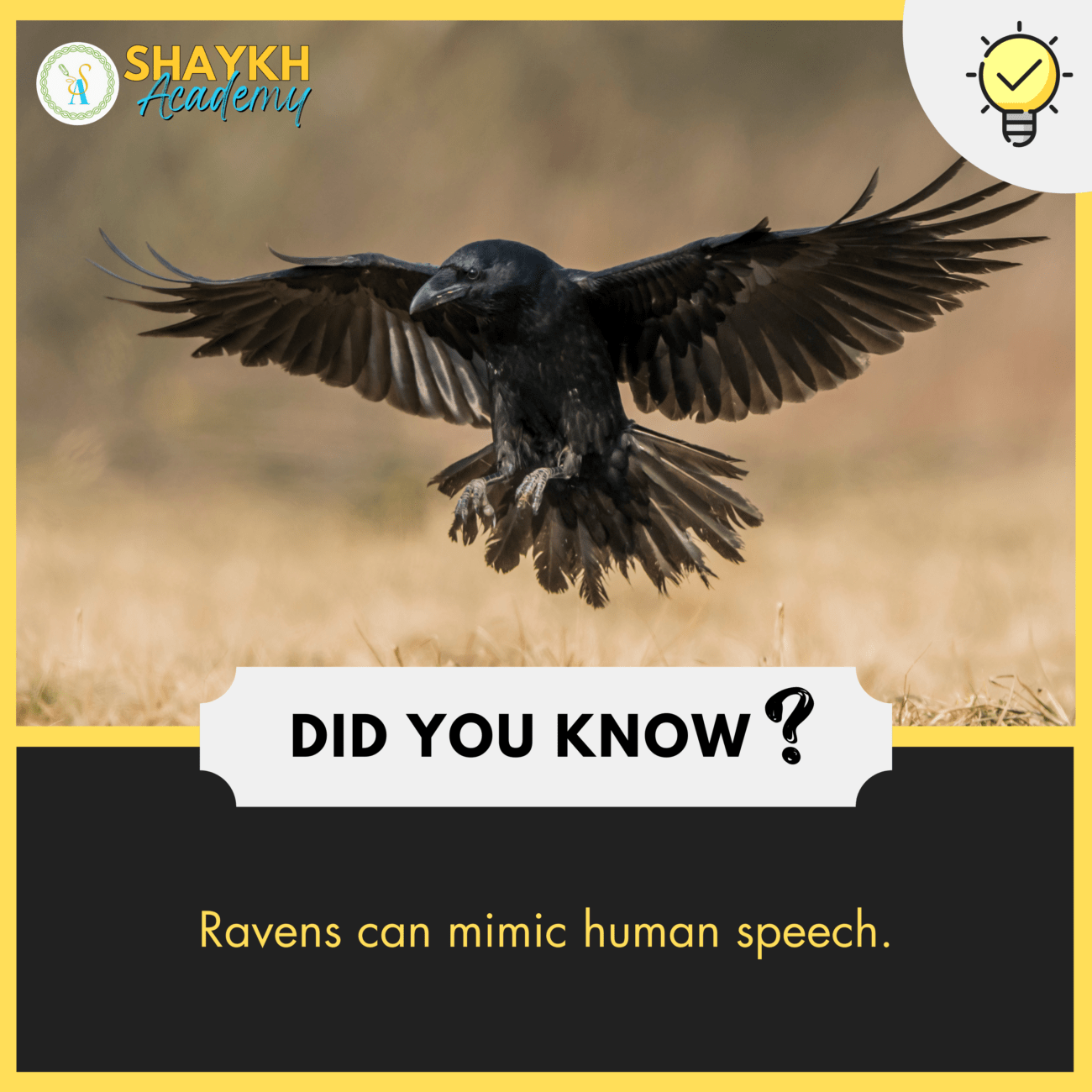 Did you Know? Ravens can mimic human speech