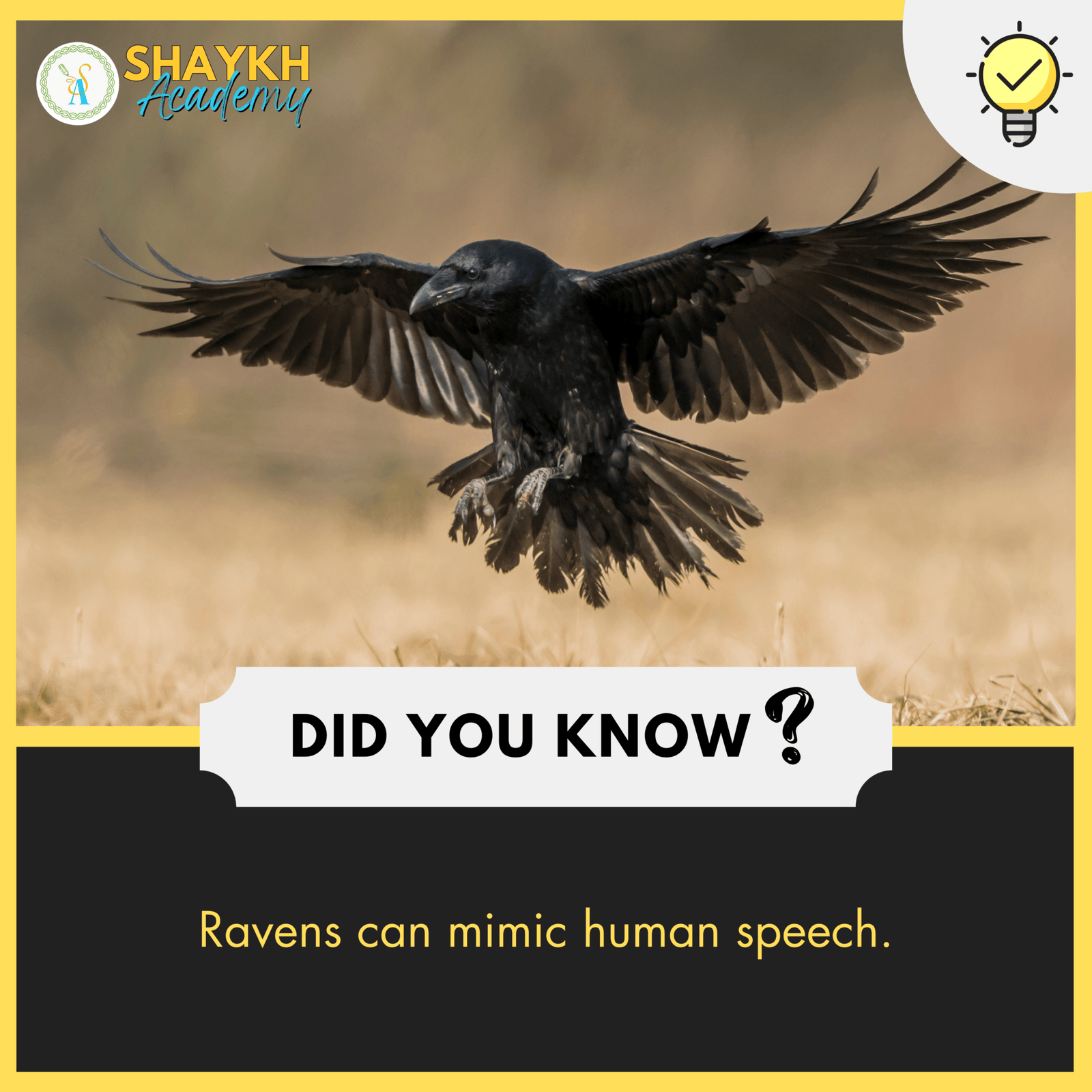 Did you Know? Ravens can mimic human speech