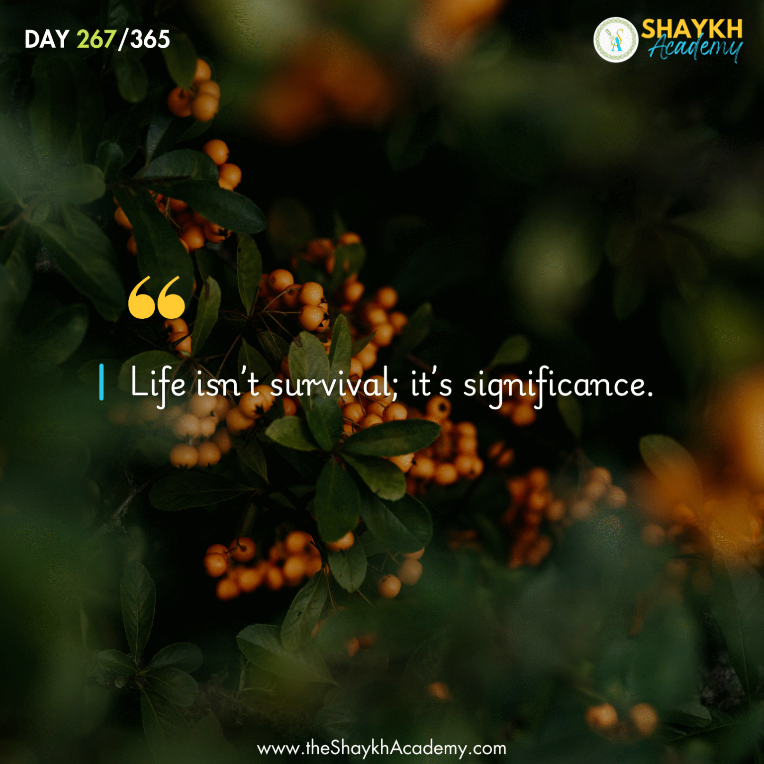 Day 267/365 : Life isn’t survival; it’s significance.