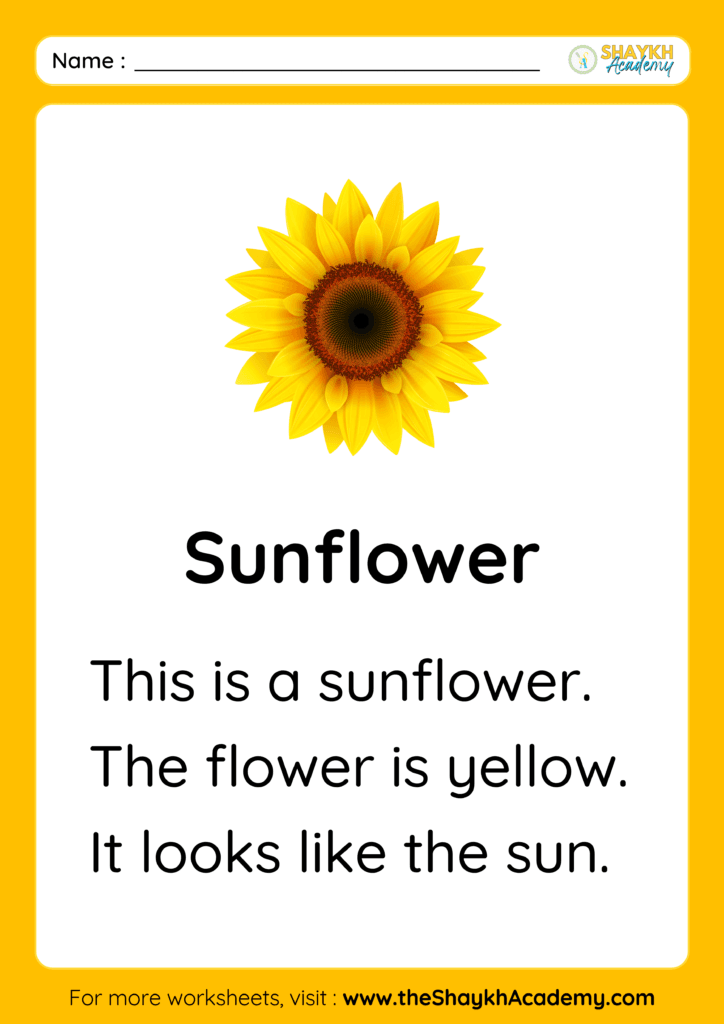 Easy Reading Fluency Worksheet on 'Sunflower' for Kids