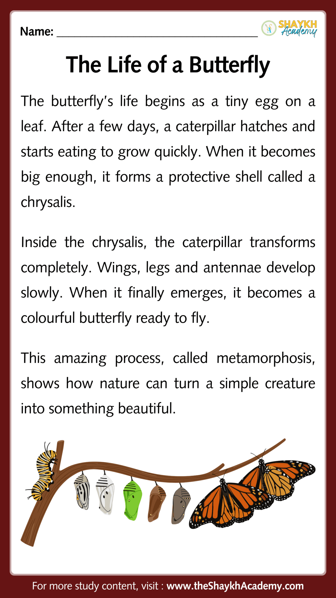 Easy Reading Fluency Worksheet on 'The Life of a Butterfly' for Kids